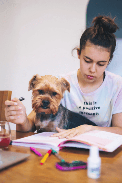 Strategies for Staying Motivated during Independent Study